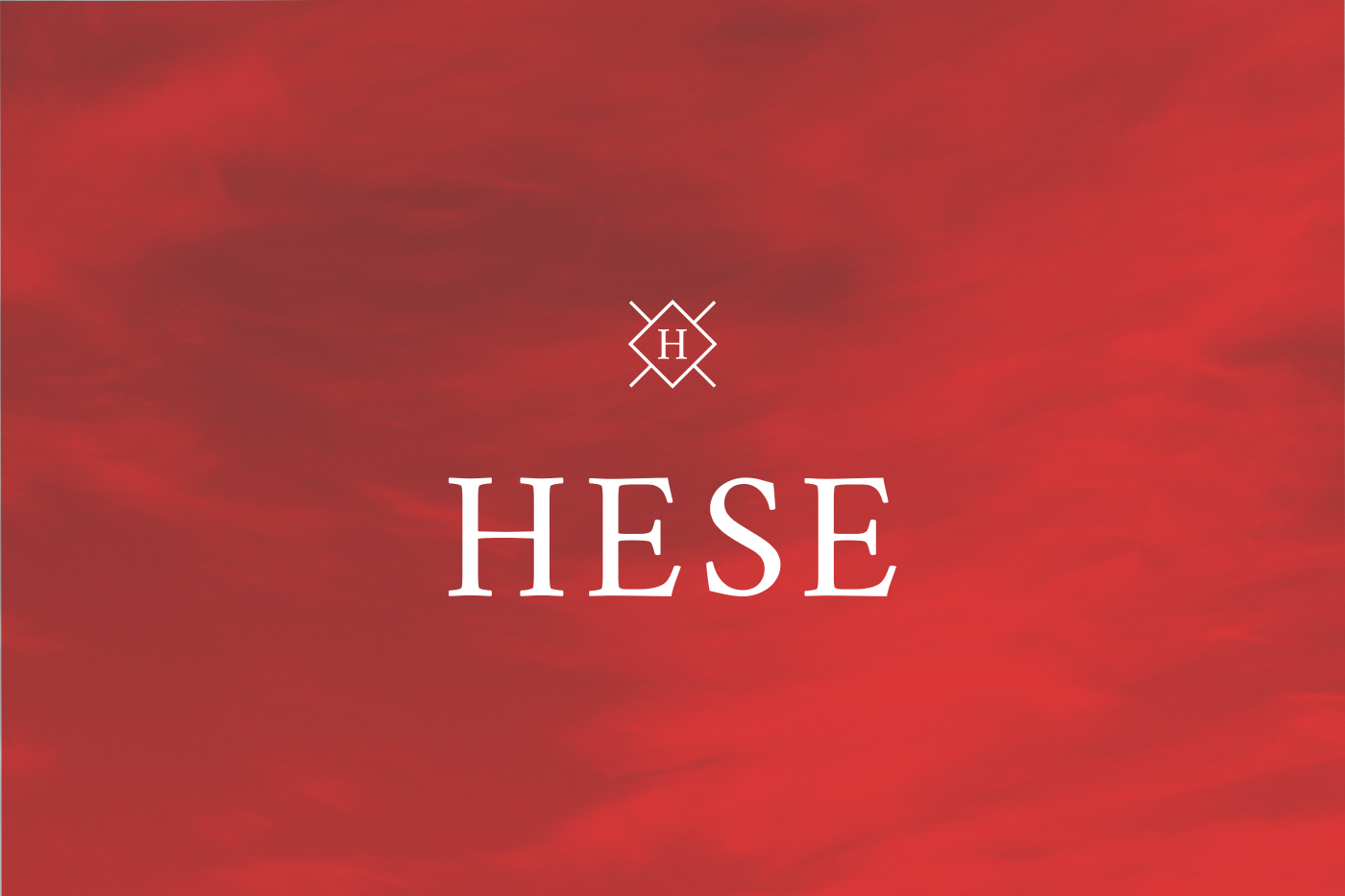 Hese Consulting - Jesús Román!